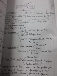 TOPPERS Anthropology Answer Booklet Compilation by L2A IAS